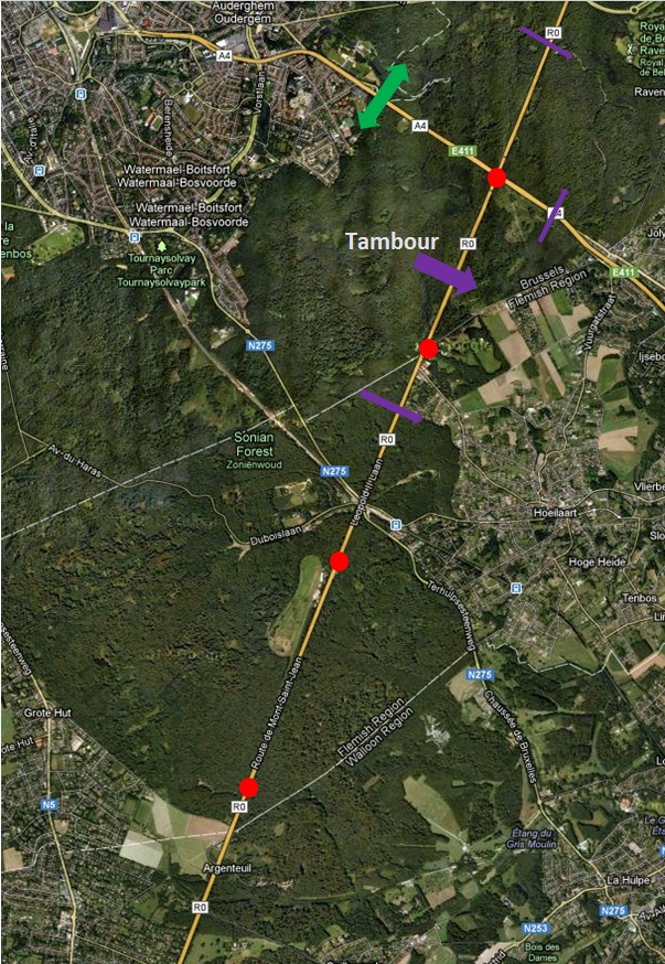 How do bats cross a motorway? – the results! – Naturanaute